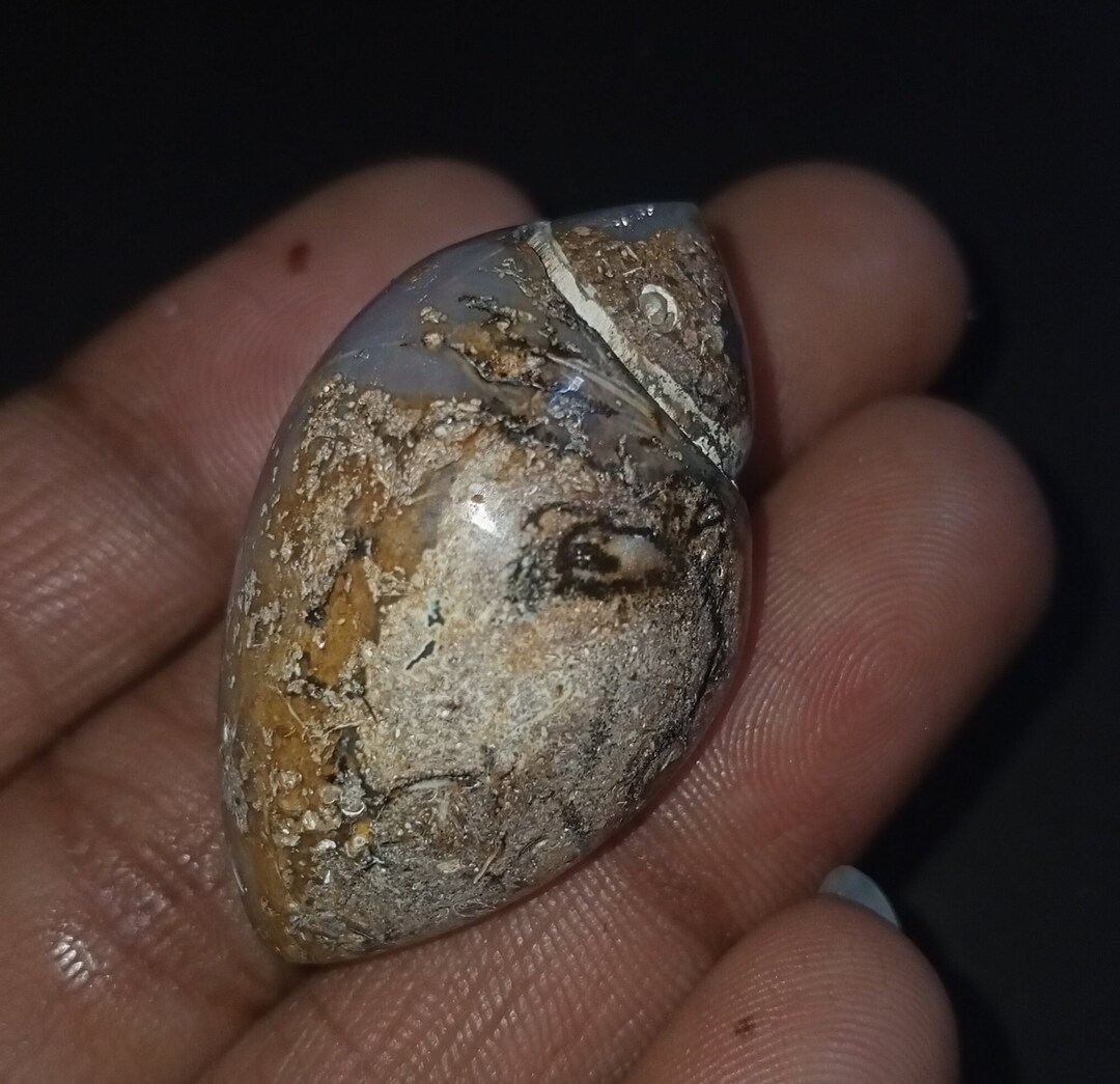 96 Ct. Top Sparkling Charm Fossil Agate,full Pack Snail,100% Natural ...