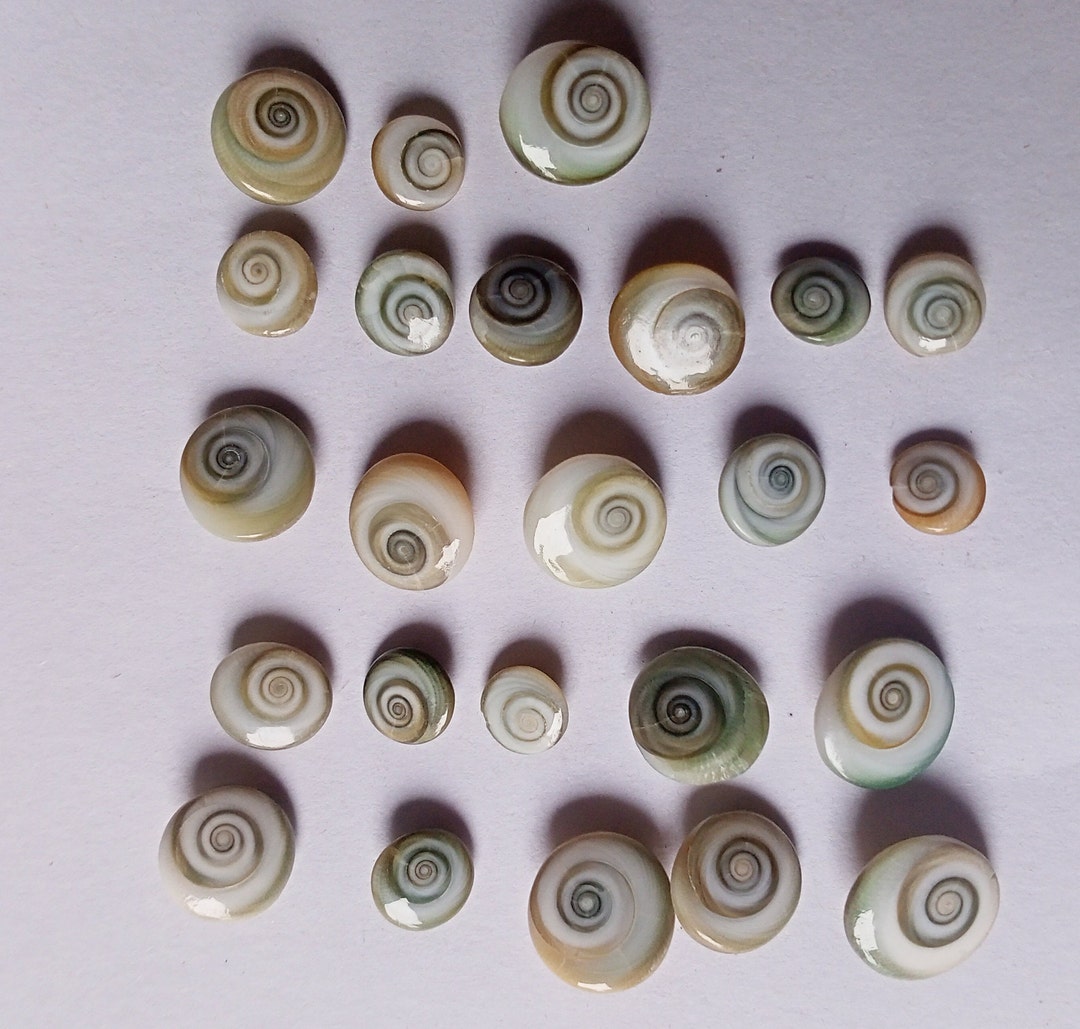 TOP Grade Lord Krishna Stone Energized and Blessed Gomti Chakra Natural ...