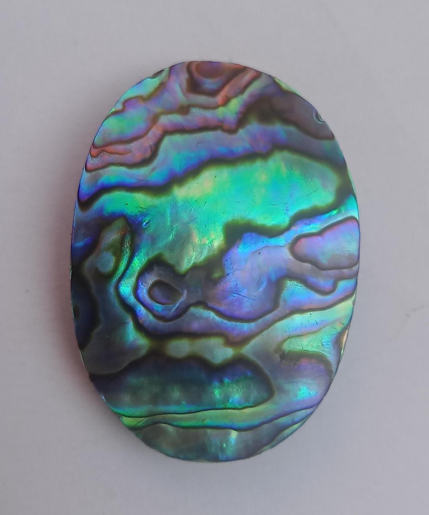 100% Top Ormer Shell, Abalone Shell, Paua Shell, Perlemoen Shell,nacre ...