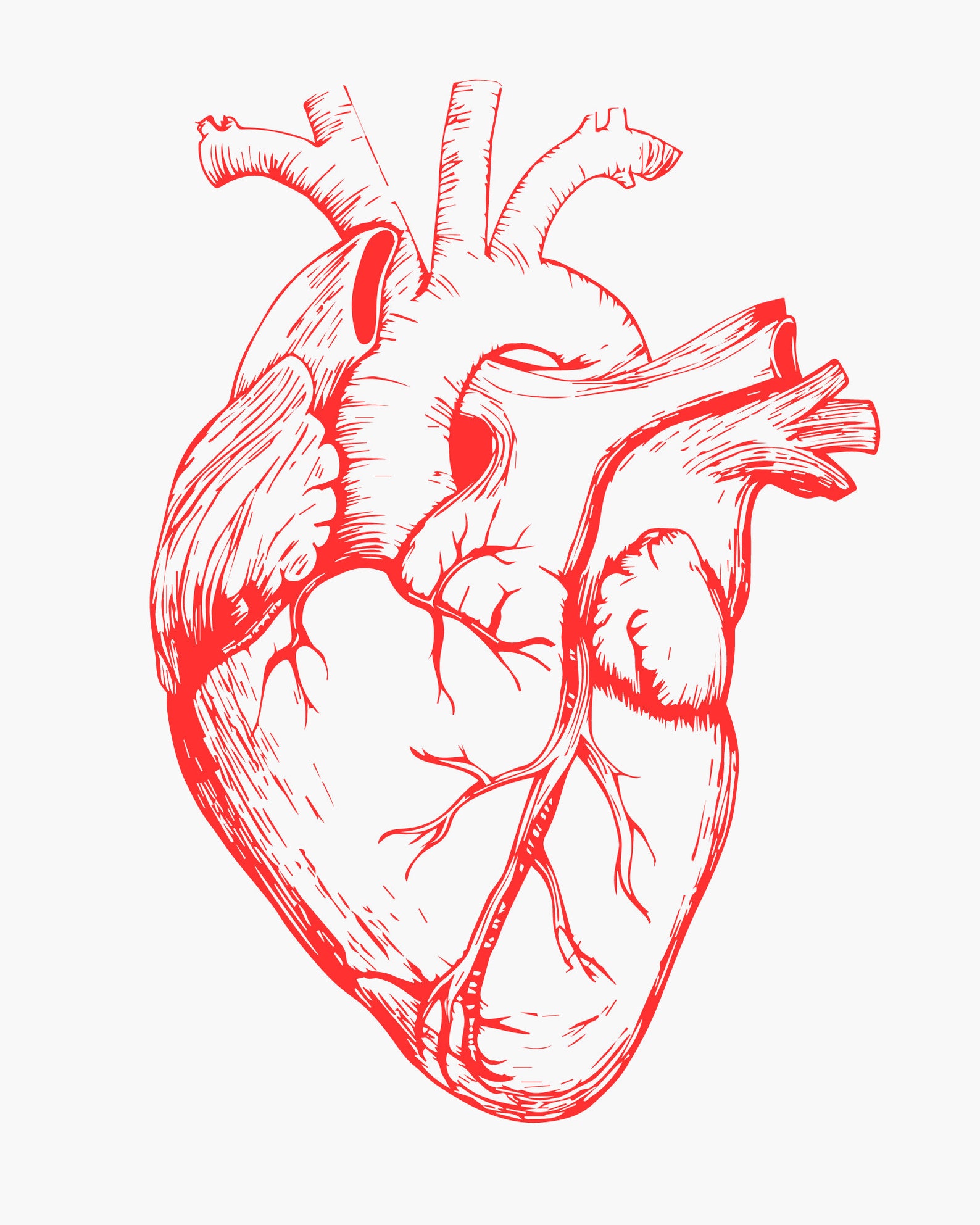 Human's Heat Sketch Pen Drawing , Wall Art , Art & Collectibles , Home ...