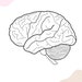 Human's Brain Sketch Pen Drawing , Wall Art , Art & Collectibles , Home ...