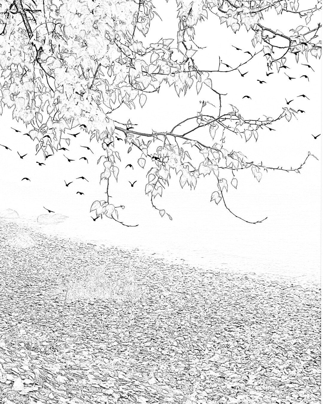 Hot Monsoon Sketch Painting for House Design , Drawing ,nature's Beauty ...