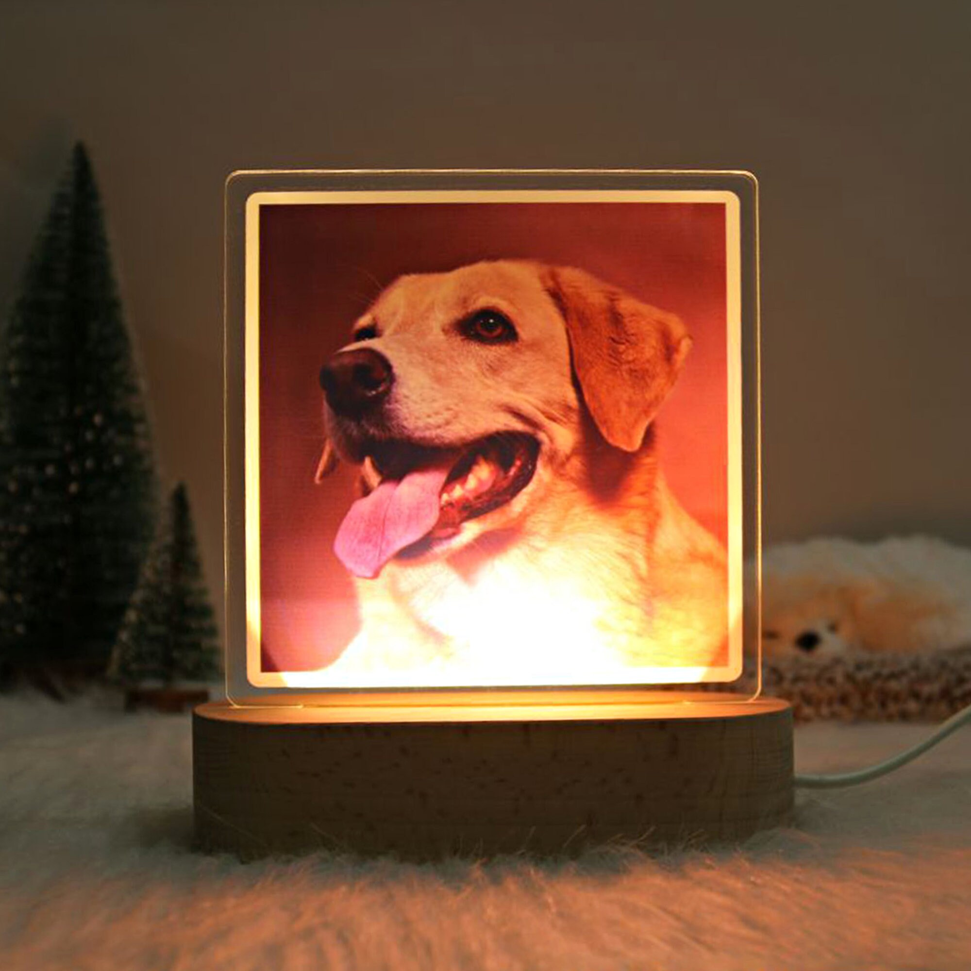 Personalized Photo Night Light, Custom Picture Lamp, Photo Plaque ...