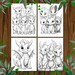 Neopet Coloring Pages, Cute Dragons, Neopets Fanart, Fairy Coloring ...