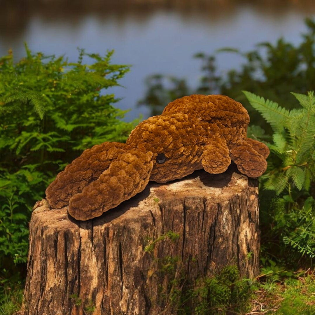 Stag Beetle Amigurumi Crochet Plush - Cozy Cryptid Co - Etsy
