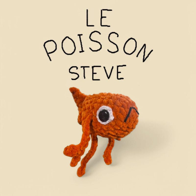 Le Poisson Steve - Etsy