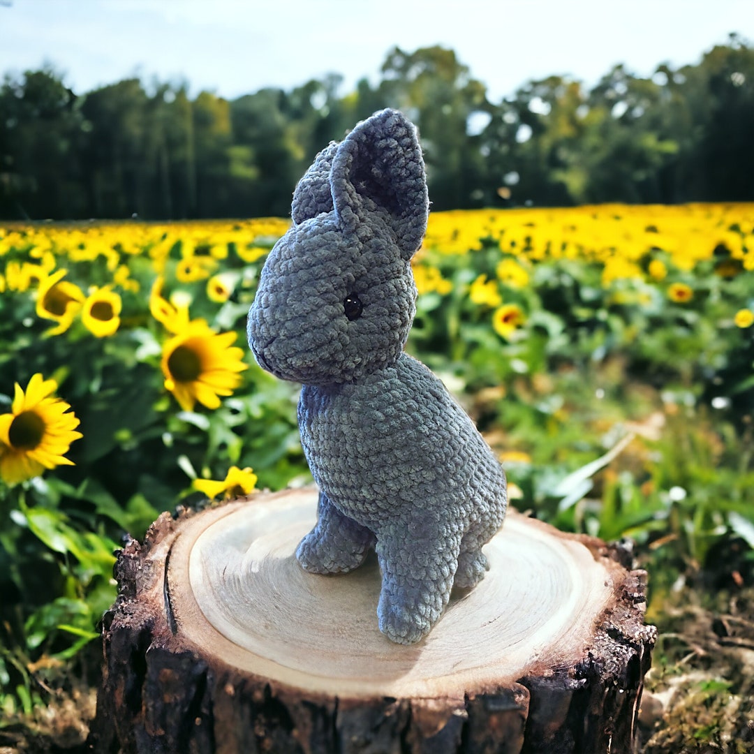 Bunny Amigurumi Crochet Plush - Cozy Cryptid Co - Etsy