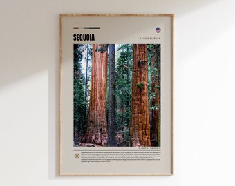 Sequoia National Park Travel Poster by Anderson Design Group National ...