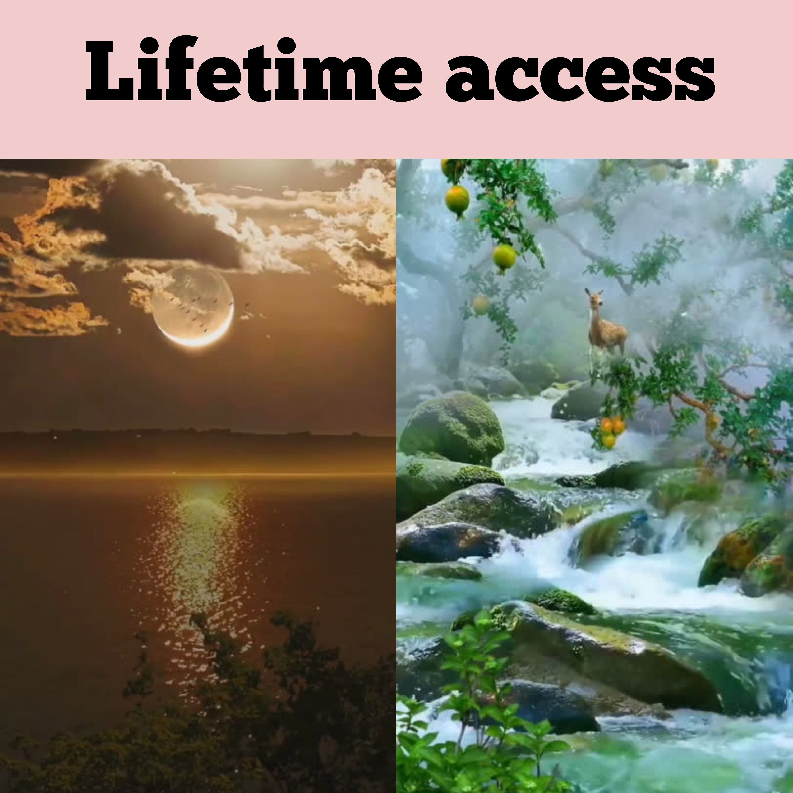 2200+nature Faceless Reels, Instagram Reels, Real Estate Reels, Tik Tok ...