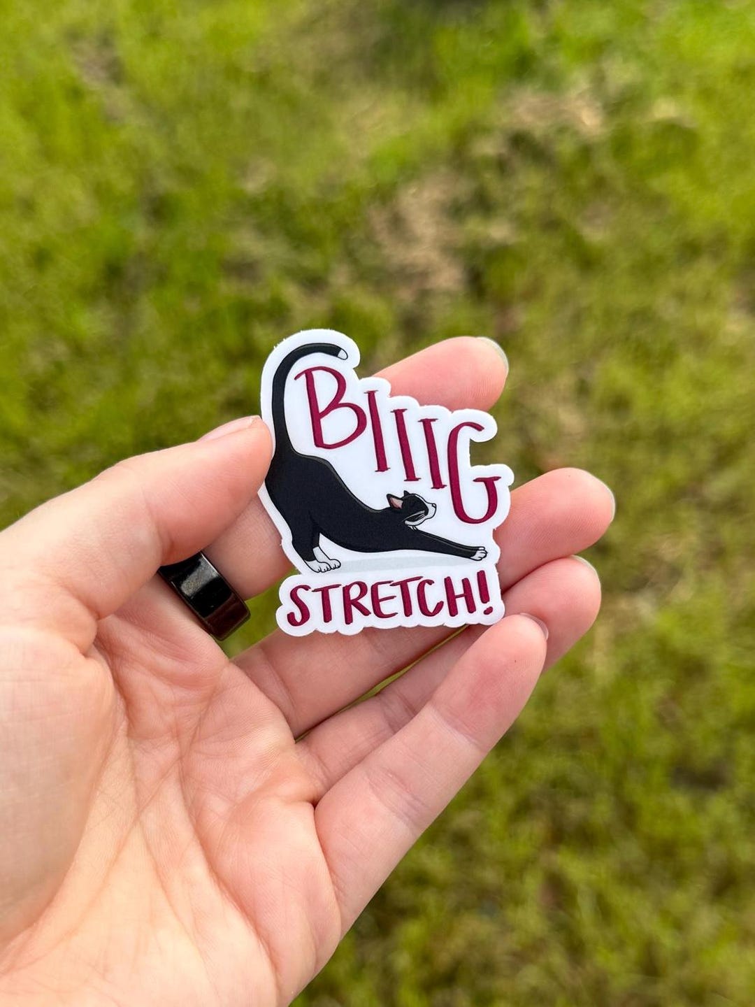 Big Stretch Cat Sticker - Etsy
