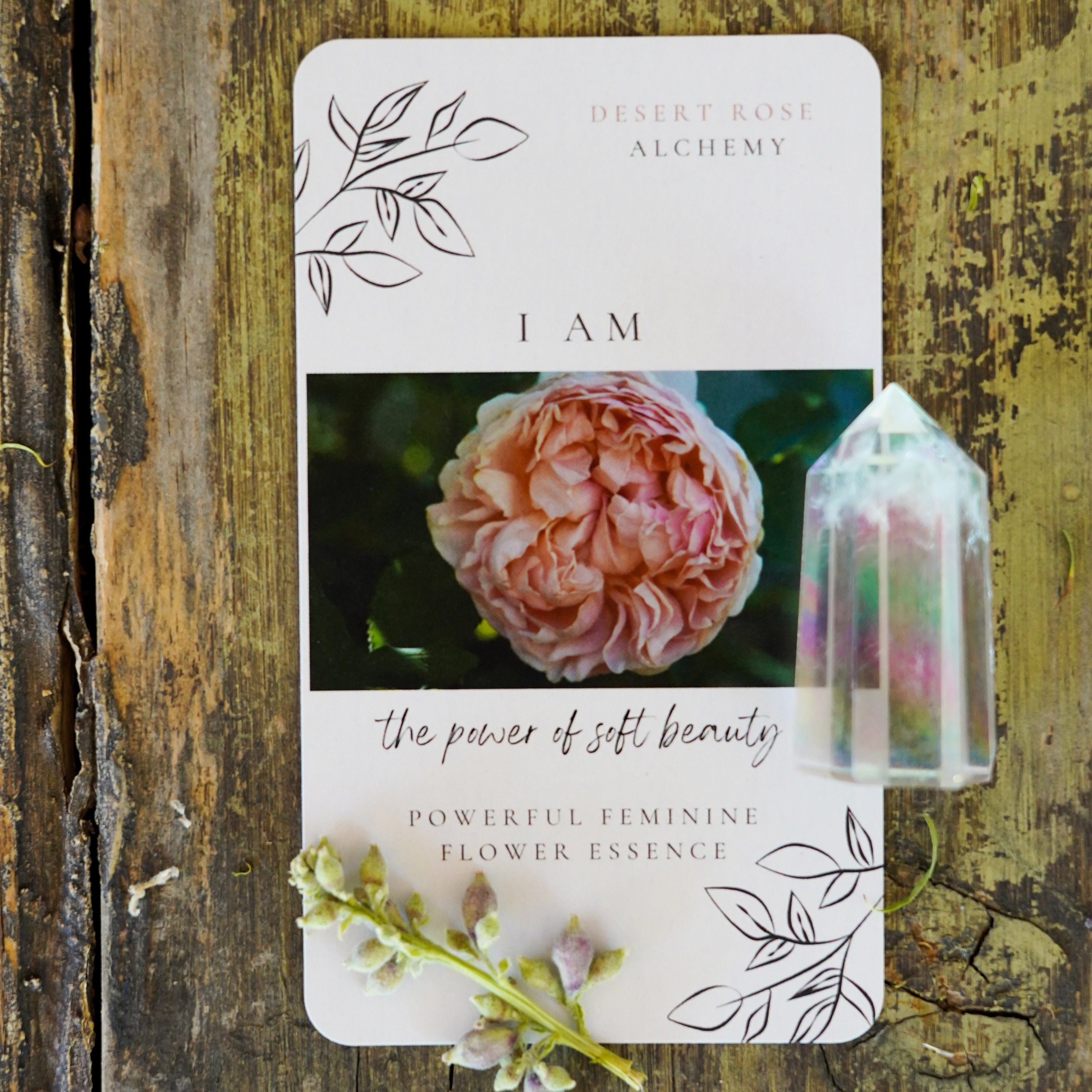 Powerful Feminine Soft Pink Rose Flower Essence - Etsy