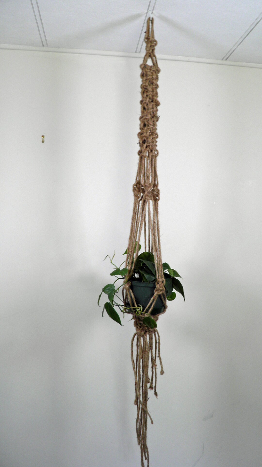 Plant Hanger, 68 Inches Long, Sized for 6-inch Pot. (pot Not Included ...