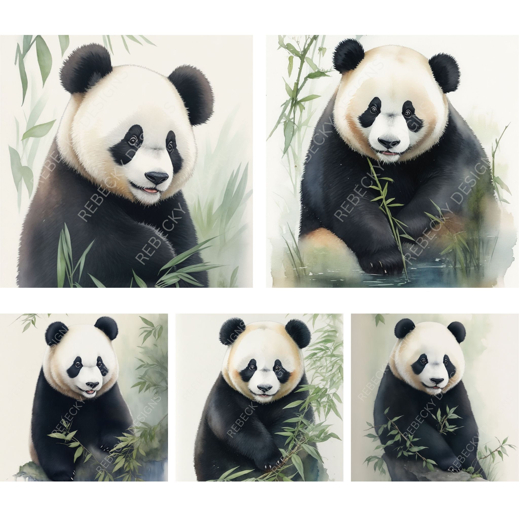 Watercolor Panda, Clipart Bundle, Jpg 300dpi, Watercolor Clipart ...