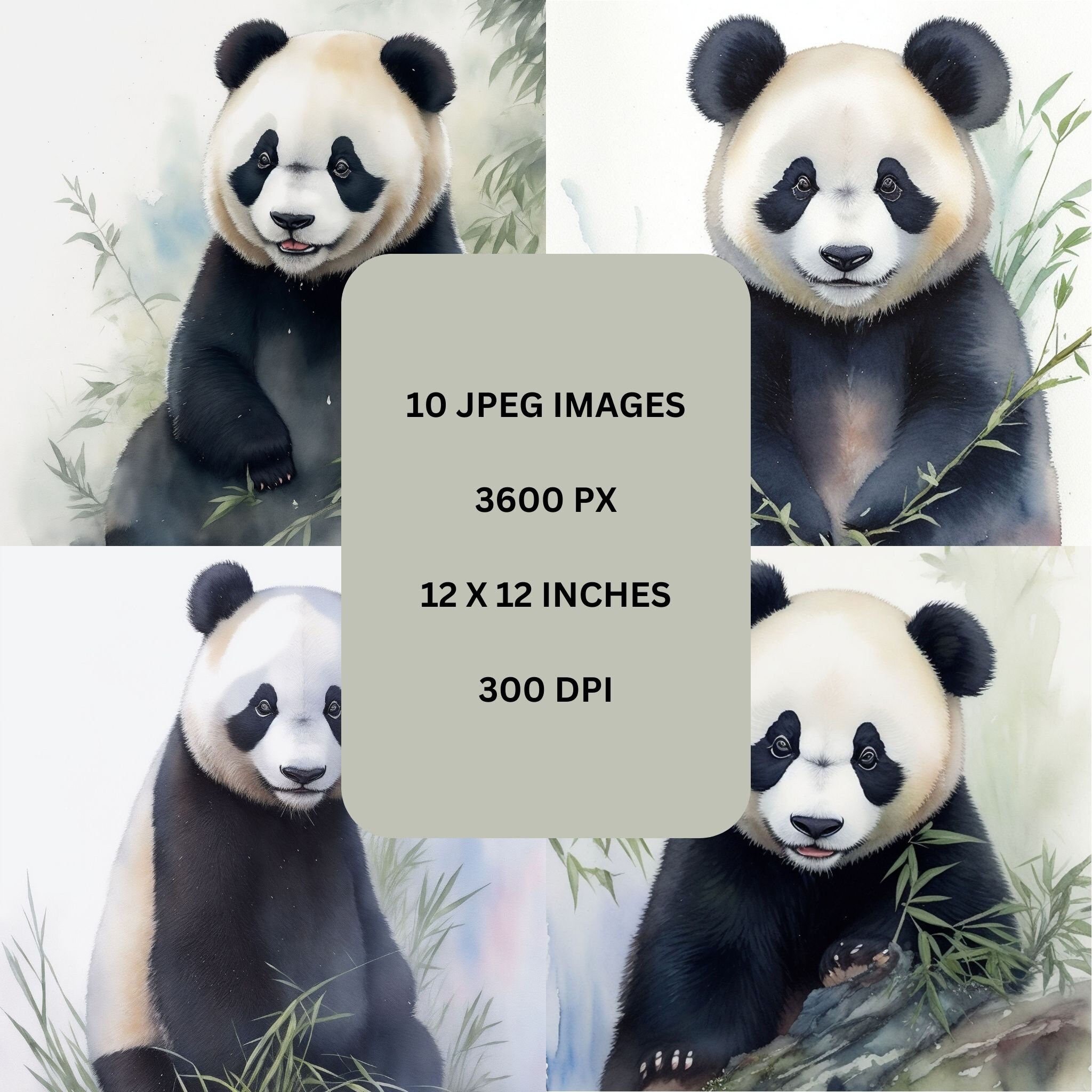 Watercolor Panda, Clipart Bundle, Jpg 300dpi, Watercolor Clipart ...