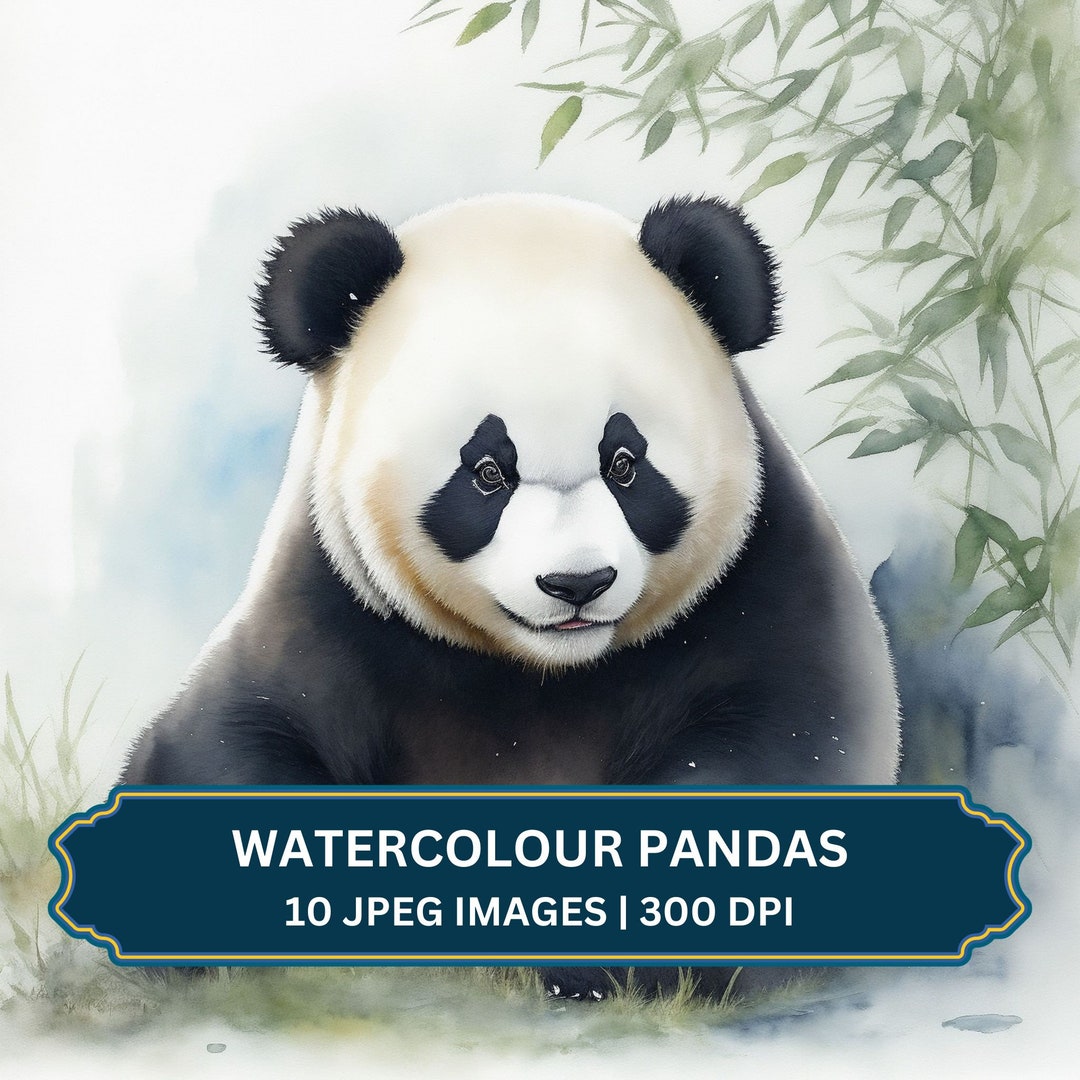 Watercolor Panda, Clipart Bundle, Jpg 300dpi, Watercolor Clipart ...