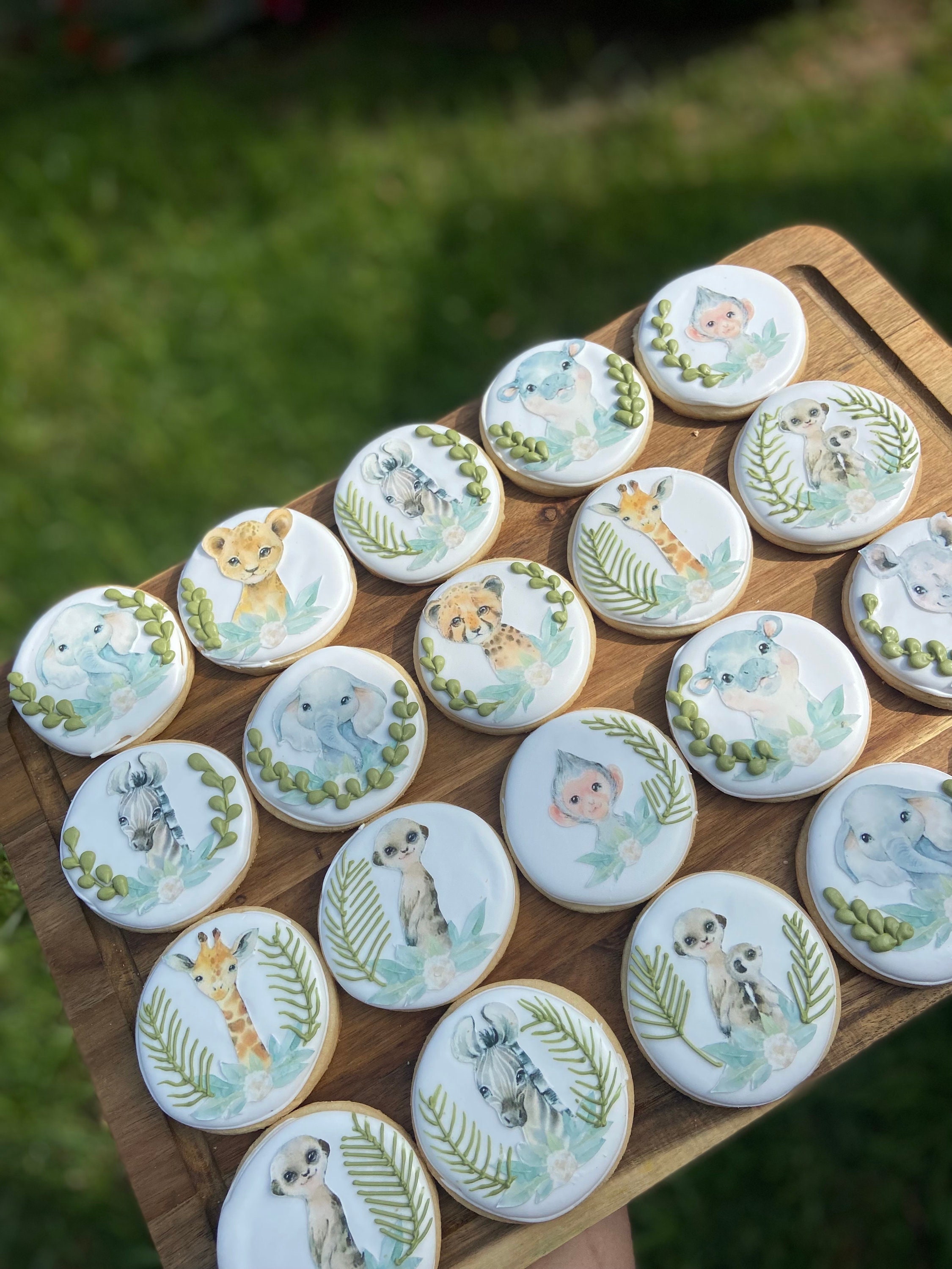 1 Dozen Baby Jungle Cookies / Safari Baby Shower Cookies / Wild Animal ...