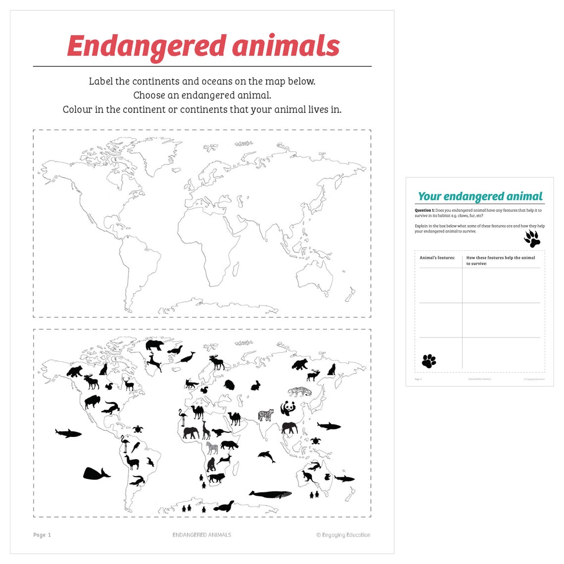 Endangered Animals Student Research Book - Etsy