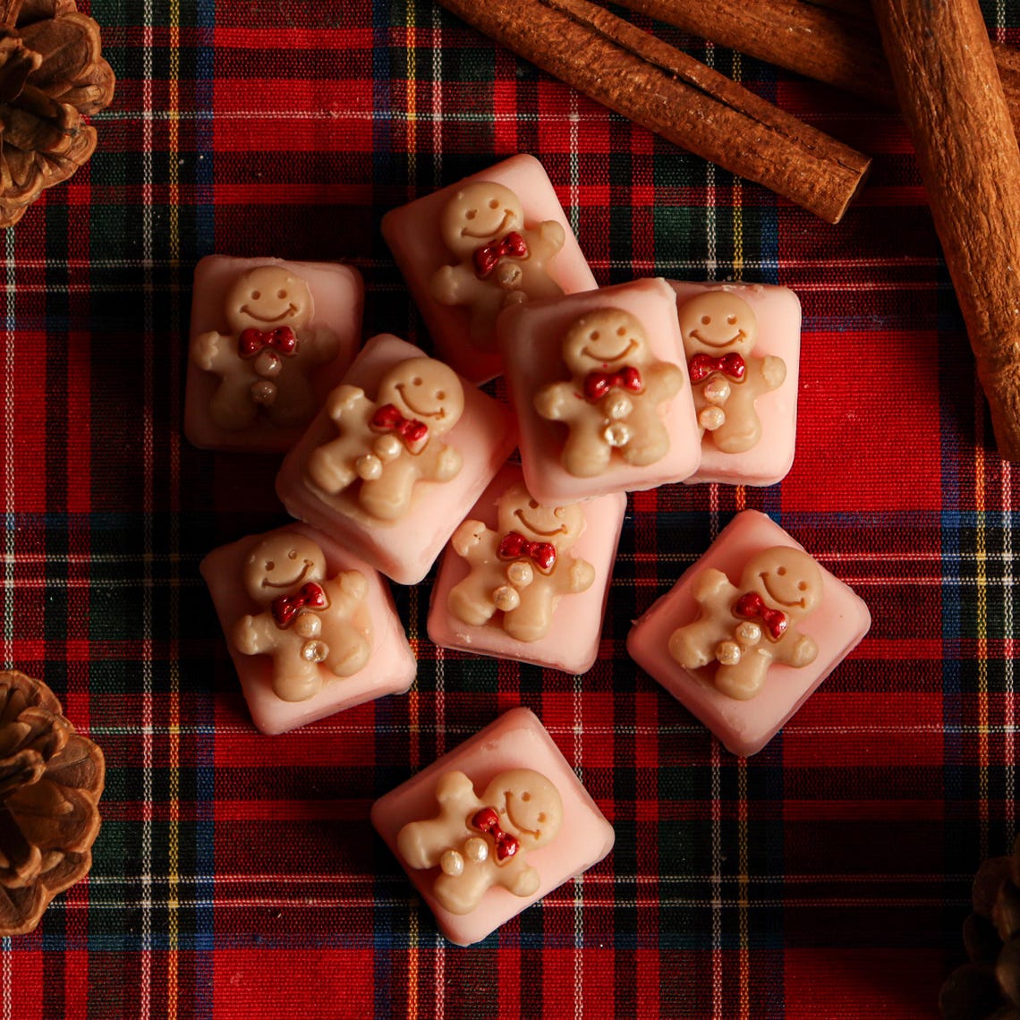 Gingerbread Wax Melt Gift Set – Shimmer Soy Wax Melts – Handmade ...