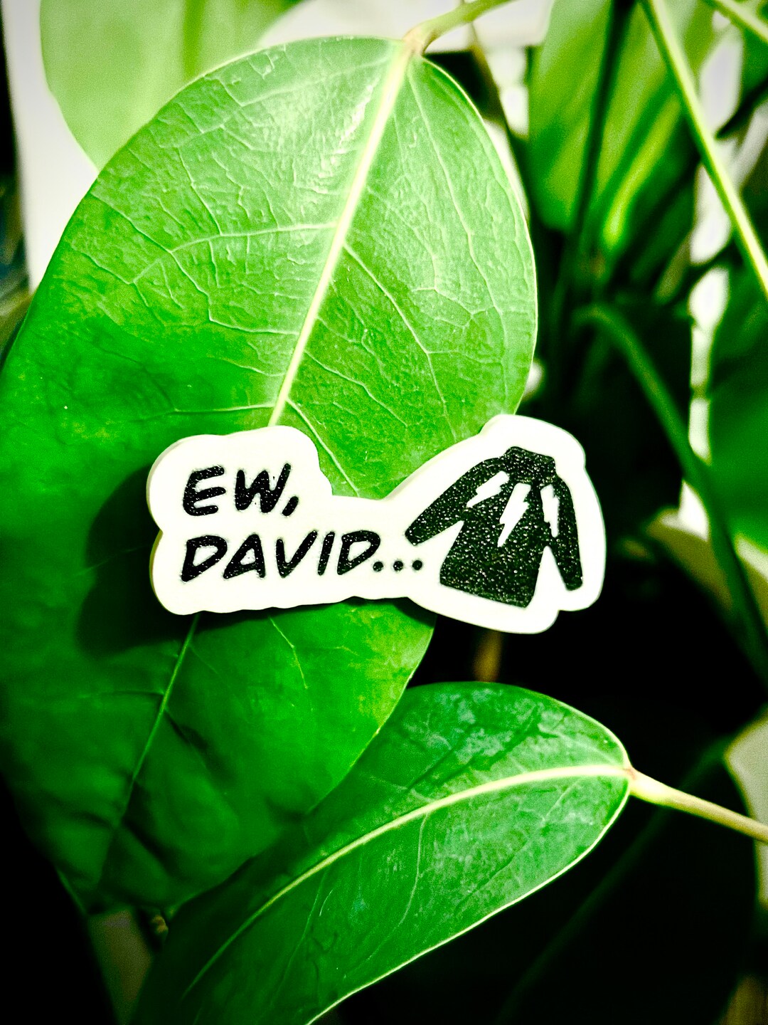 Leaflix Magnet Ewe David: Schitts Leaf or Fridge Decor for Plant Creek ...