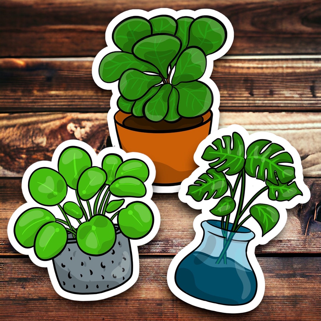 Trendy Plant Stickers; Fiddle Leaf Fig, Monstera, Pilea Decal Pack for ...