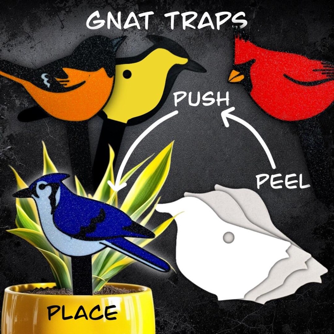 Bird-shaped Gnat Trap for Houseplants - Cardinal, Blue Jay, Oriole - 3D ...