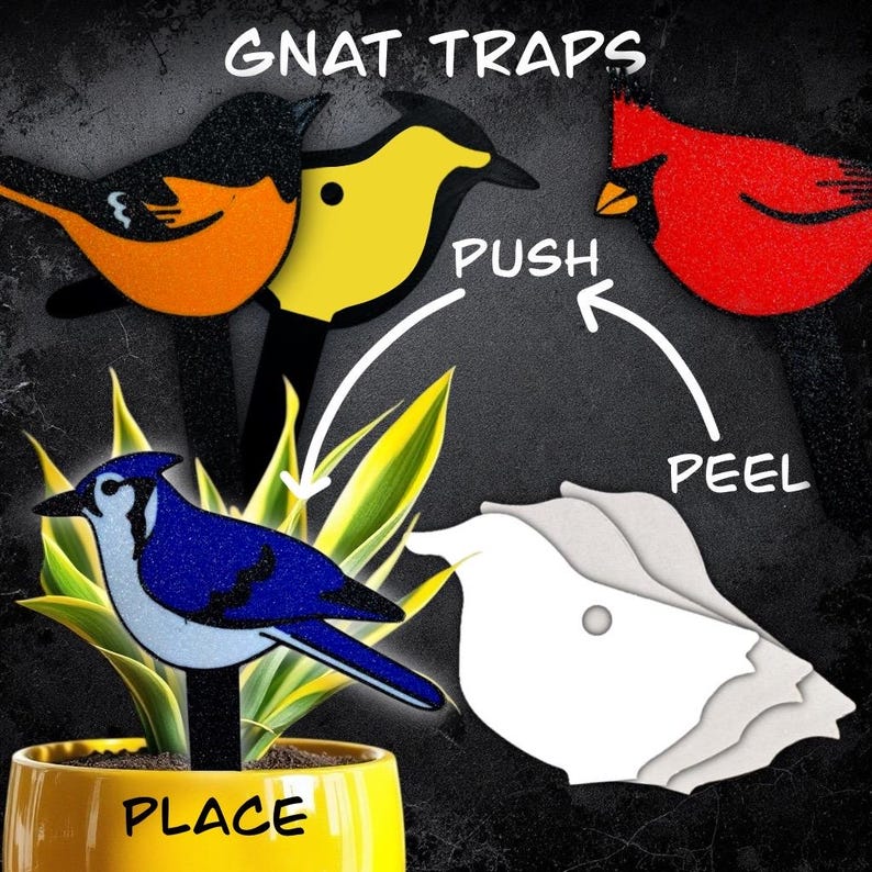Bird-shaped Gnat Trap for Houseplants - Cardinal, Blue Jay, Oriole - 3D ...