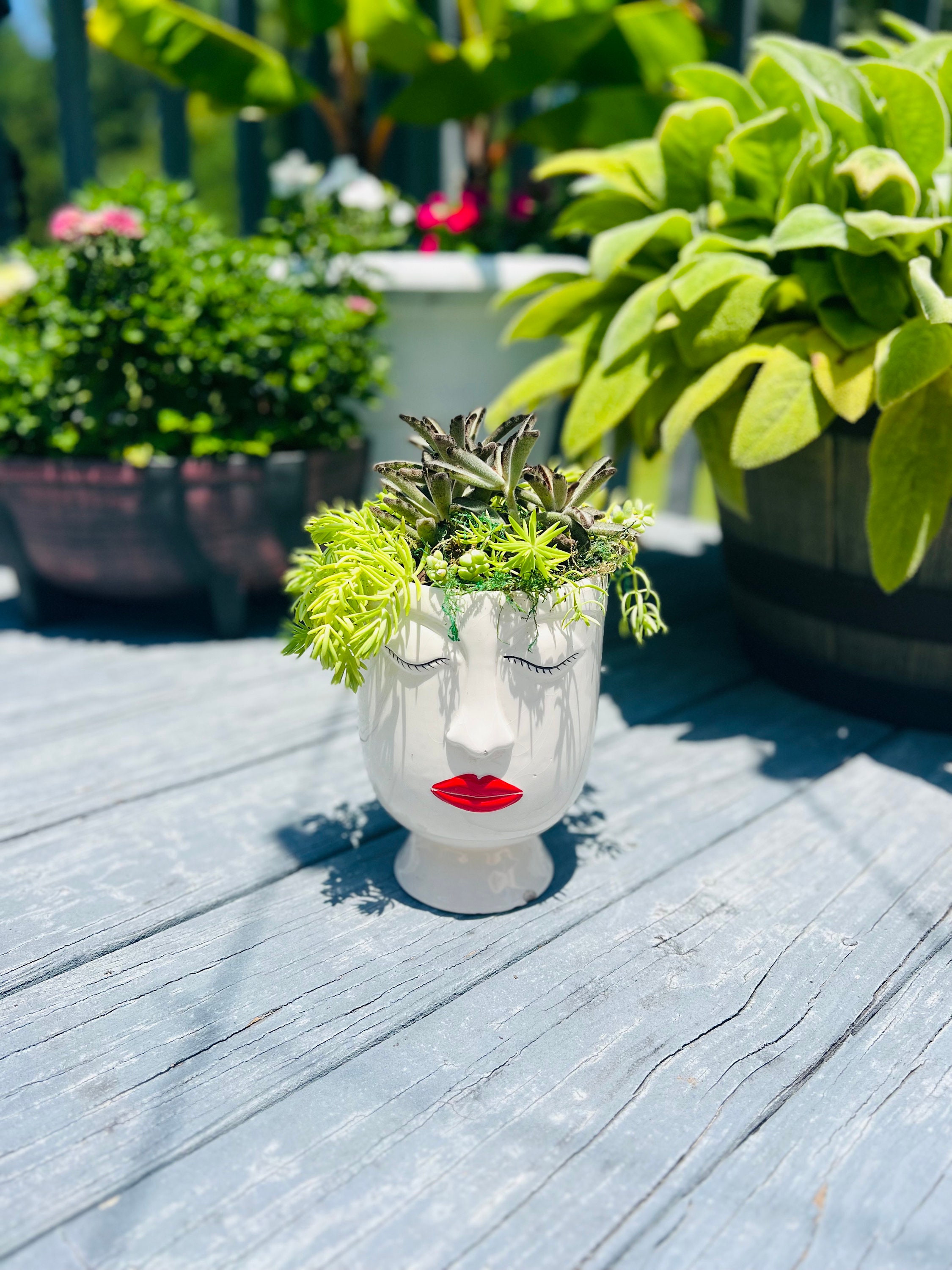 Red Lip Lady Succulent Pot - Etsy