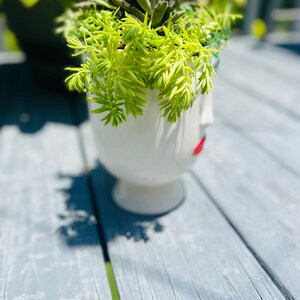 Red Lip Lady Succulent Pot - Etsy