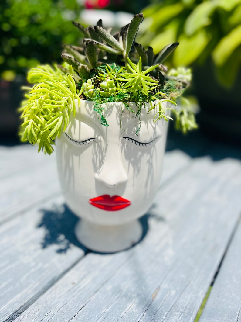 Red Lip Lady Succulent Pot - Etsy