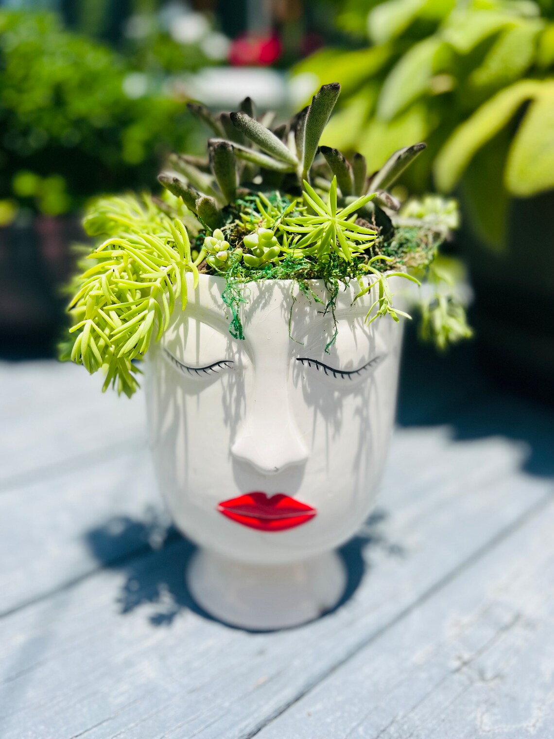 Red Lip Lady Succulent Pot - Etsy