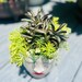 Red Lip Lady Succulent Pot - Etsy