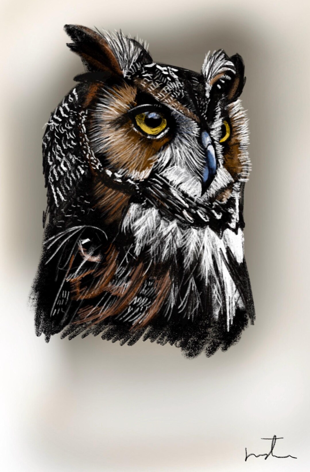 OWL - High Resolution 300 DPI Digital Print, Rustic Owl | Instant ...