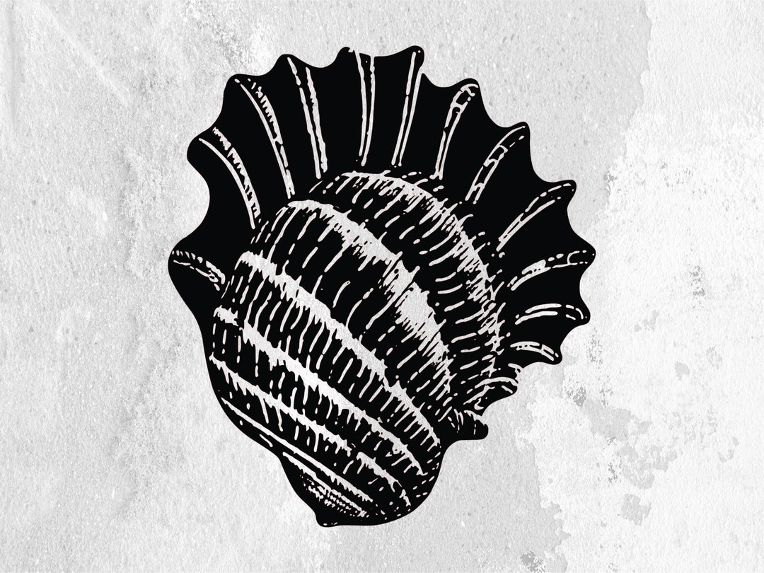 Sea Shell Linocut Style SVG PNG Shell SVG - Etsy