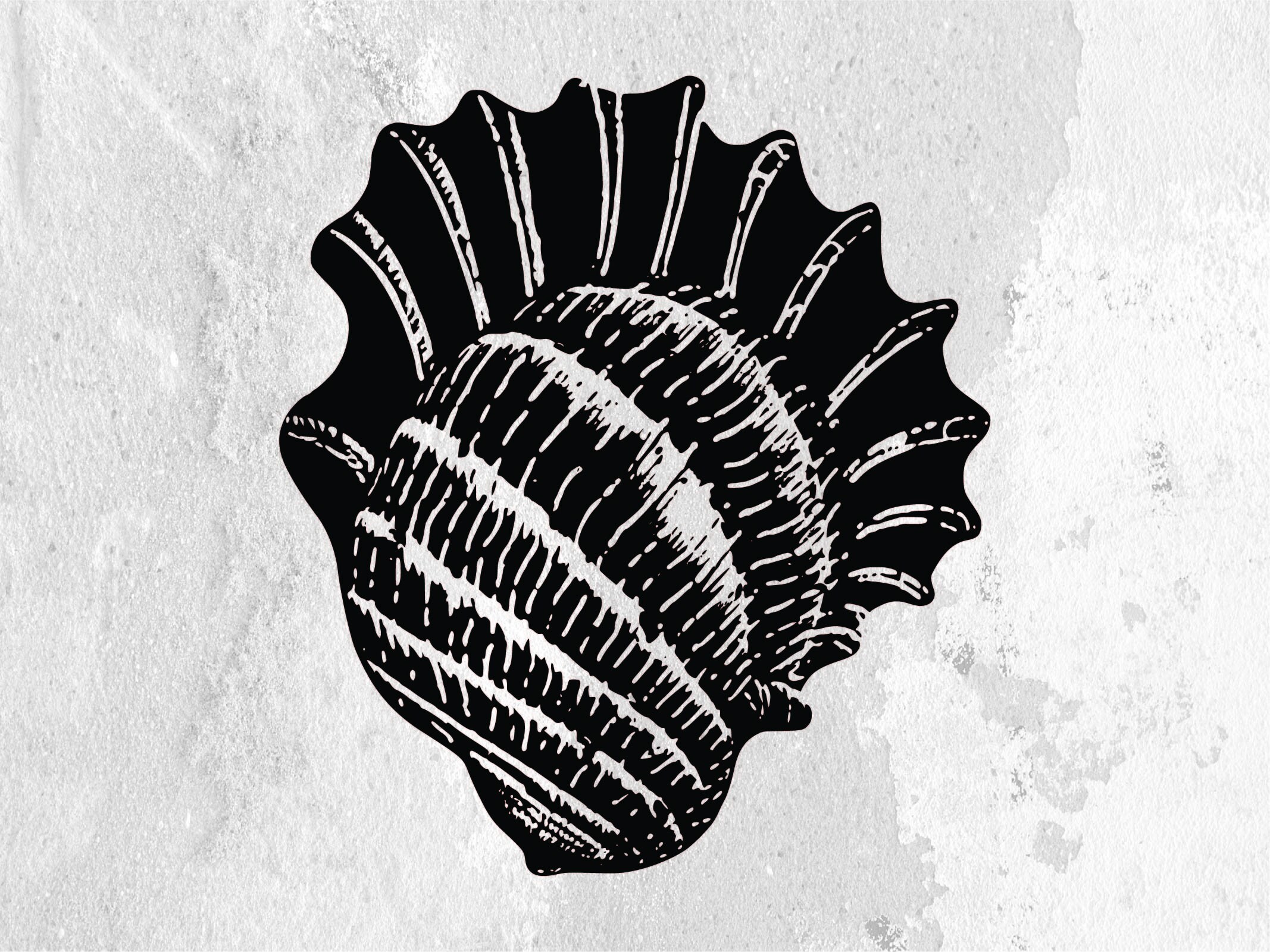 Sea Shell Linocut Style SVG PNG Shell SVG - Etsy