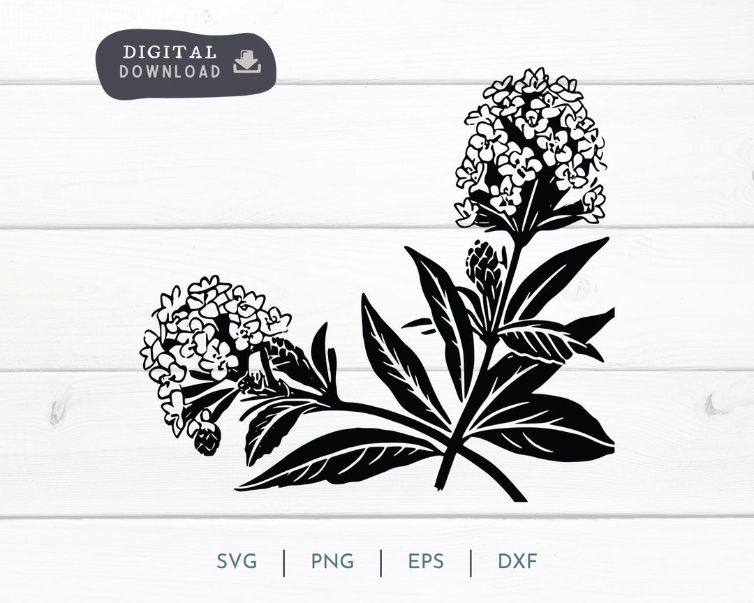 Flower Instant Download SVG PNG, Floral, Garden and Flower and Plant ...