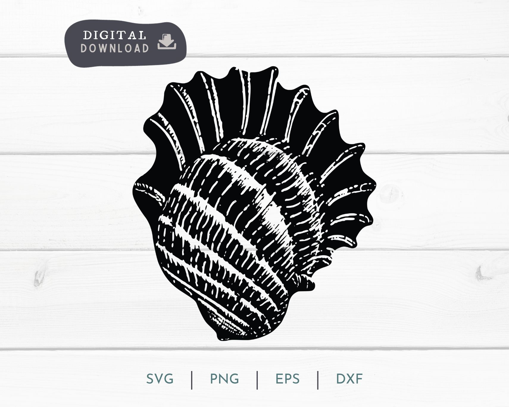 Sea Shell Linocut Style SVG PNG, Shell EPS Digital Download - Etsy