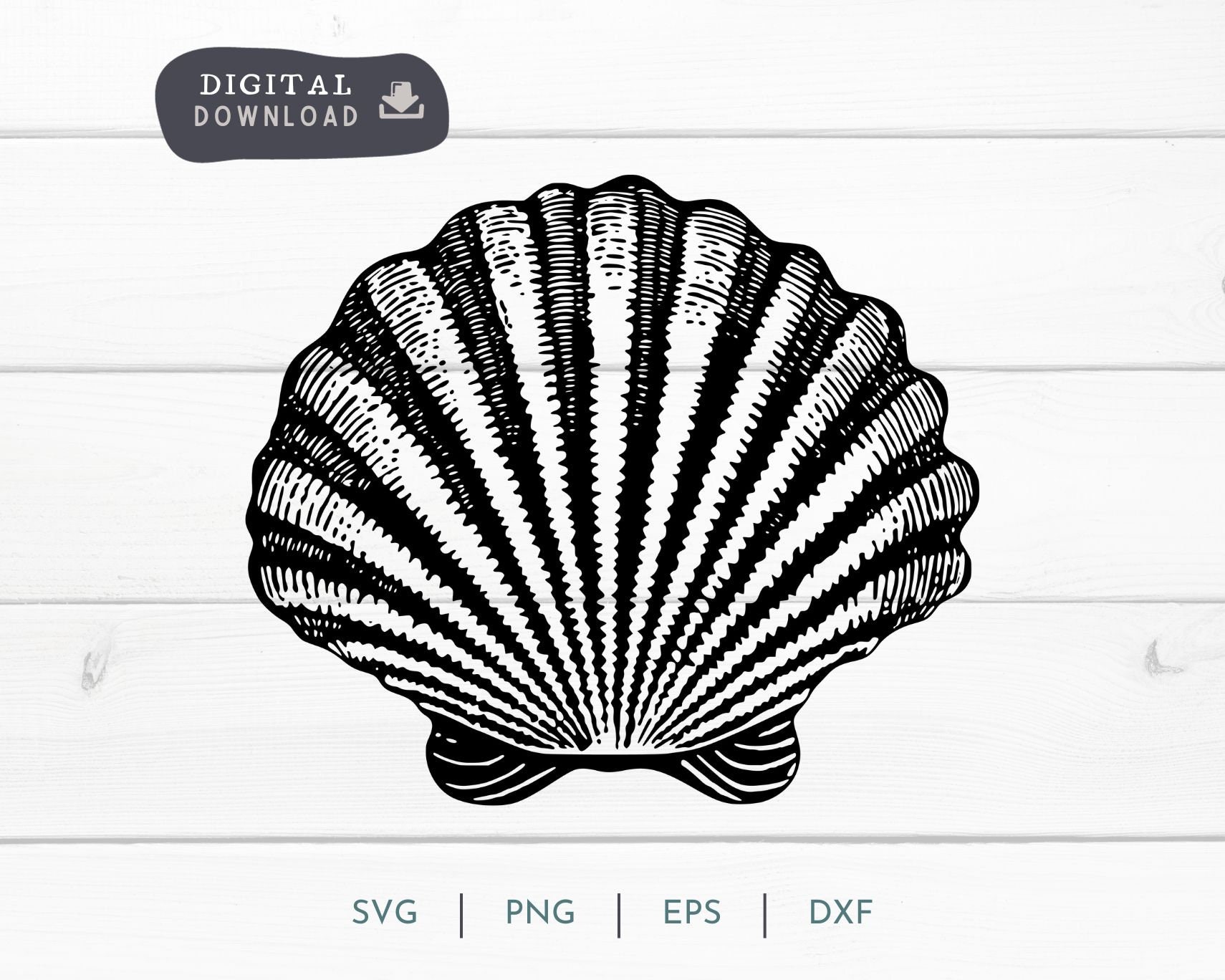 Sea Shell Instant Download SVG PNG, Sea, Clam and Beach Digital EPS - Etsy