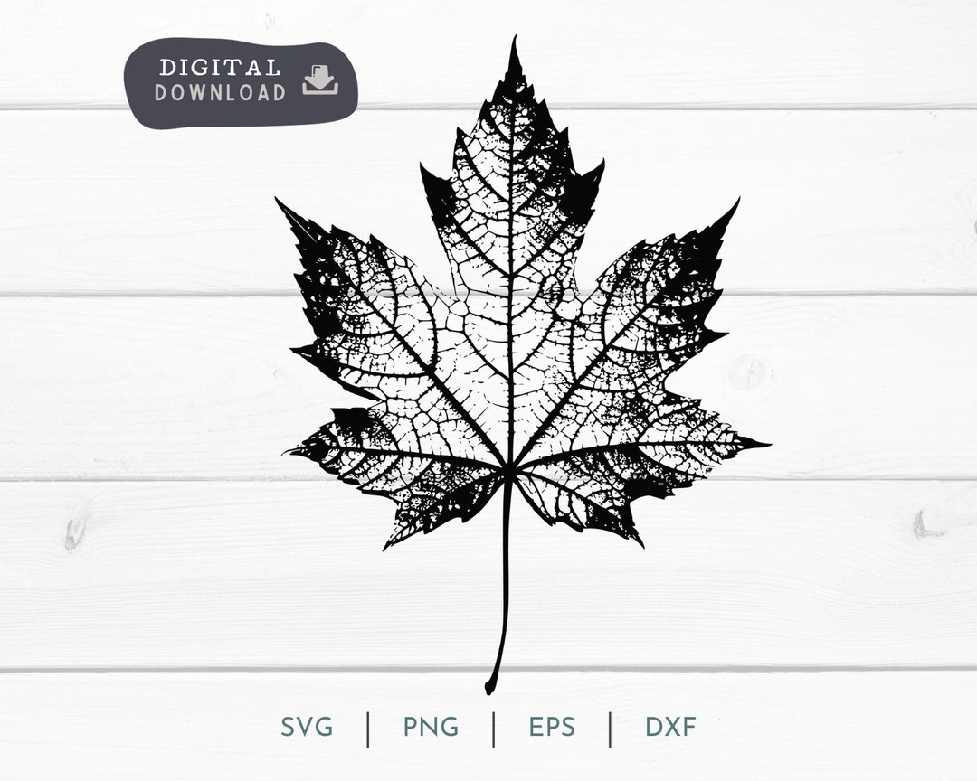 Fall Maple Leaf SVG PNG EPS, Fall Leaves Clipart Digital Download - Etsy