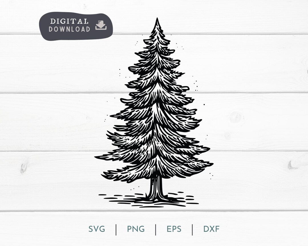 Evergreen Tree SVG PNG EPS, Fall Winter Tree Clipart Digital Download ...