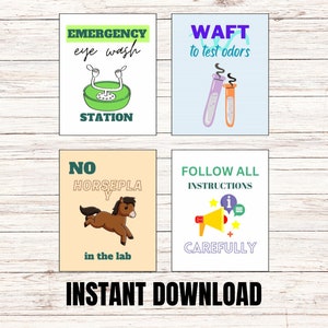 8 Cute Lab Safety Wall Prints, Science Classroom Decor, Wall Art ...