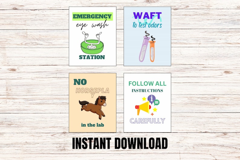 8 Cute Lab Safety Wall Prints, Science Classroom Decor, Wall Art ...