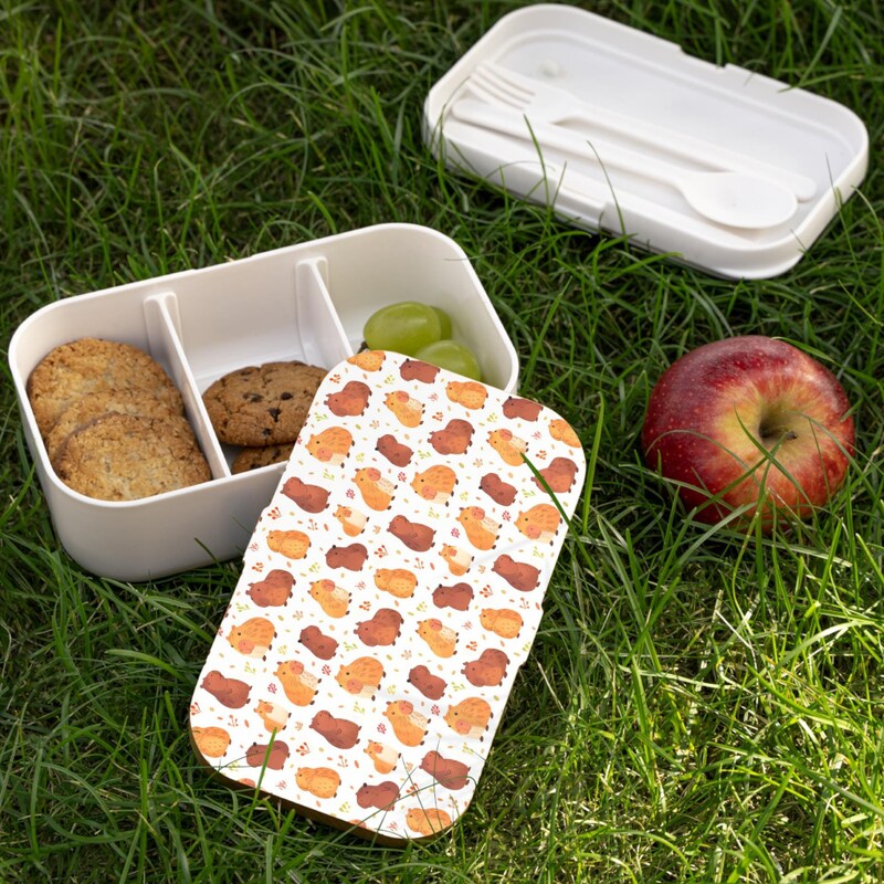 Kawaii Bento Box - Etsy