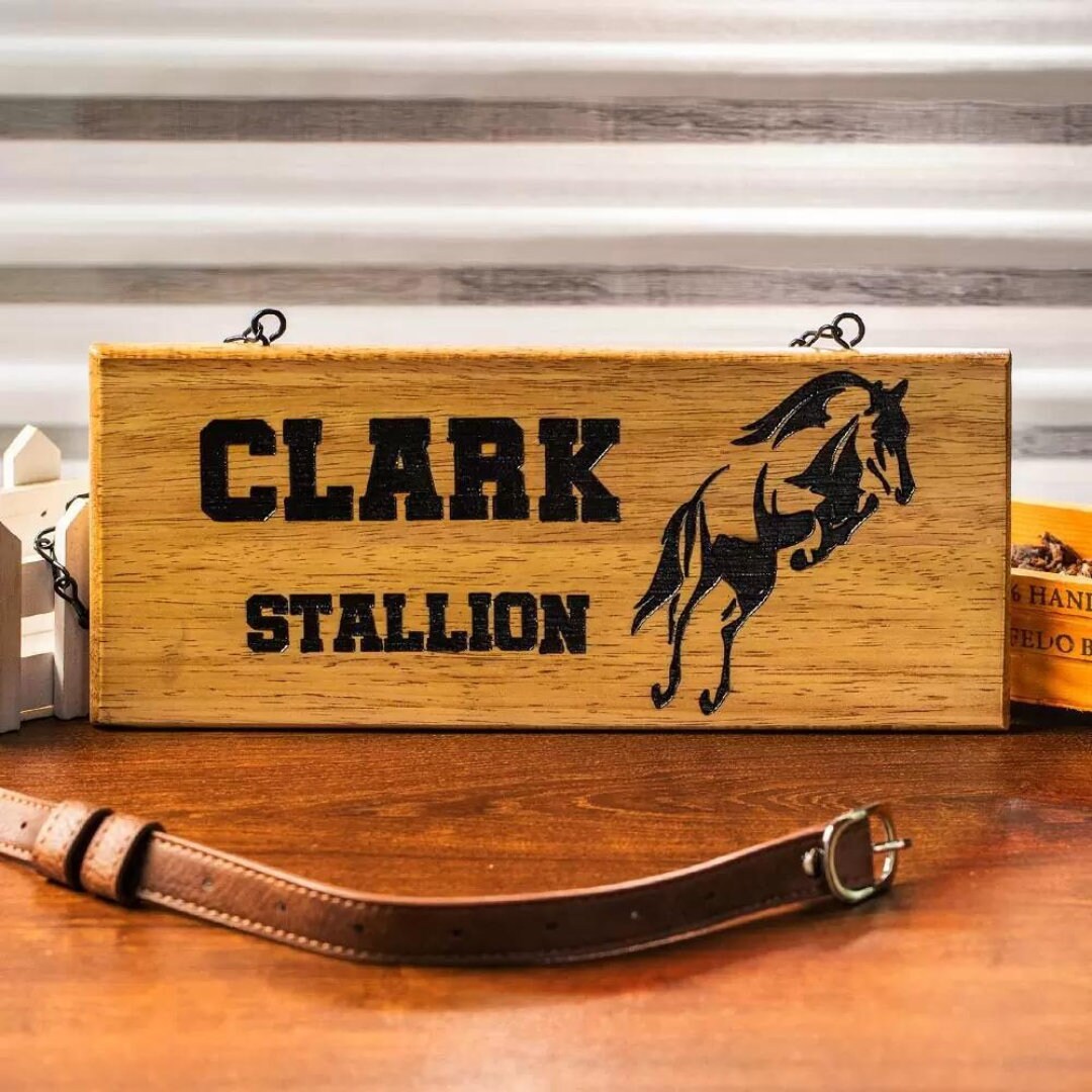 Custom Laser Engraved Wooden Horse + Name Sign, Personalized Wooden ...
