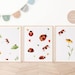 Ladybug Nursery Prints, Setof3 Bugs Insect Poster, Digital Download ...