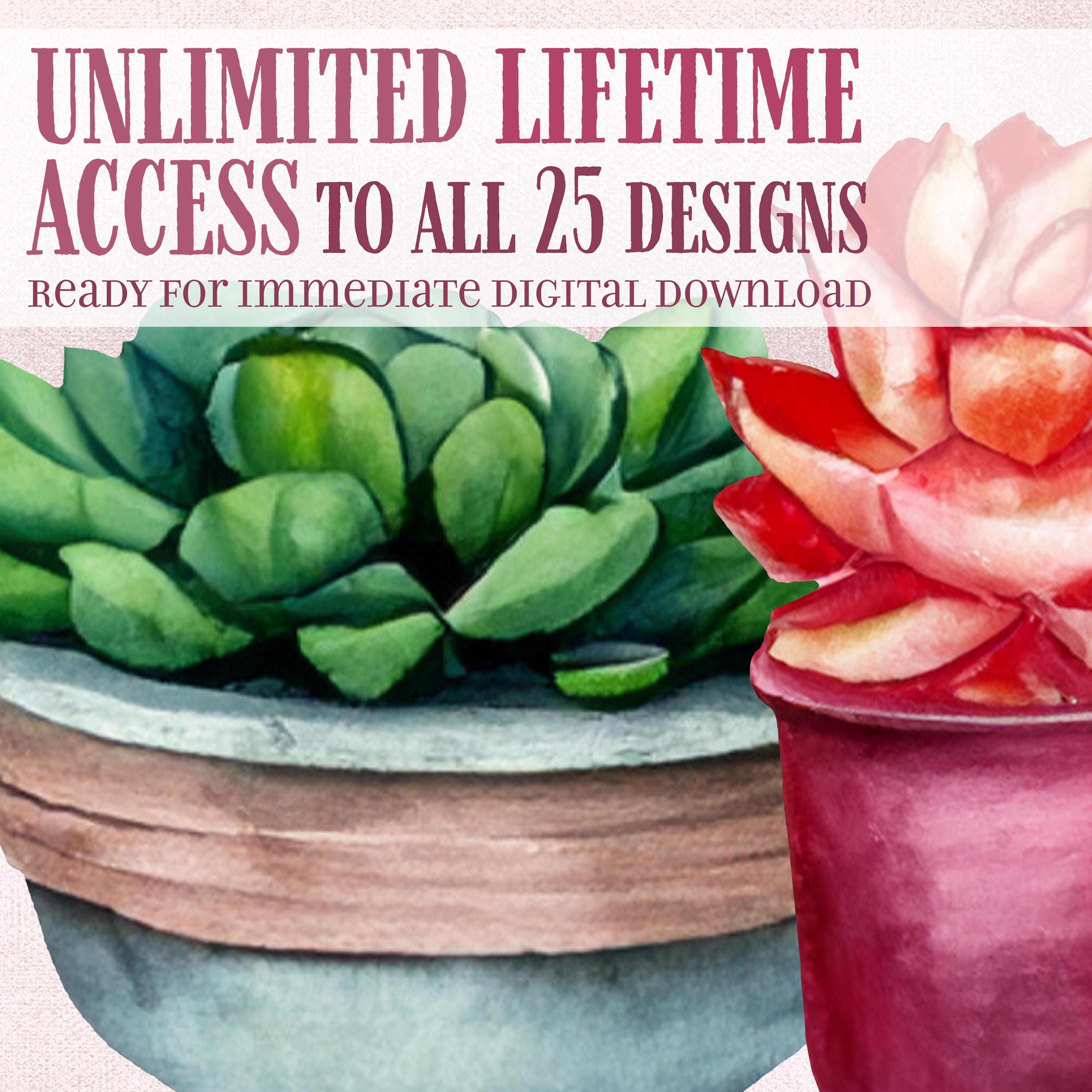 Watercolor Succulent & Cactus Clip Art Pack | House Plant Illustration ...