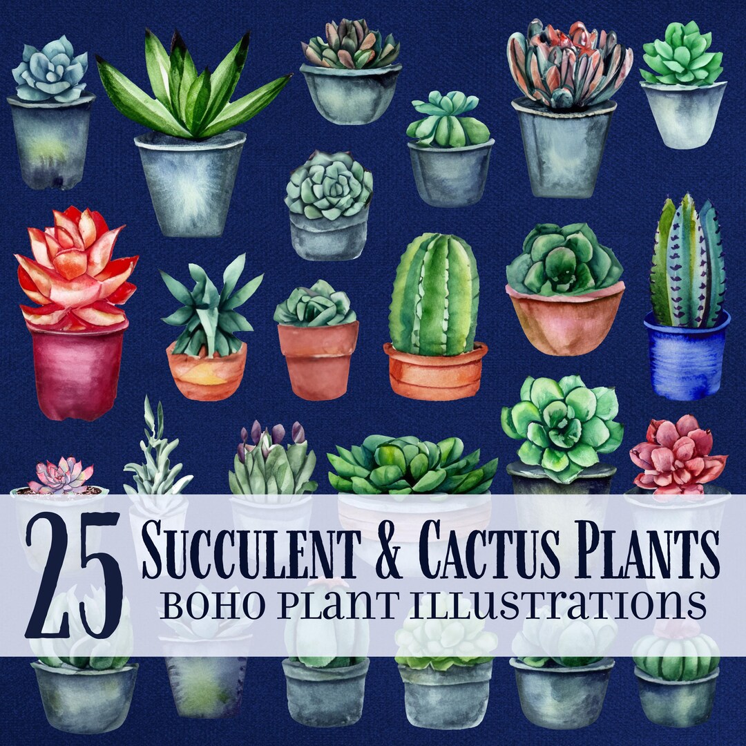 Watercolor Succulent & Cactus Clip Art Pack | House Plant Illustration ...