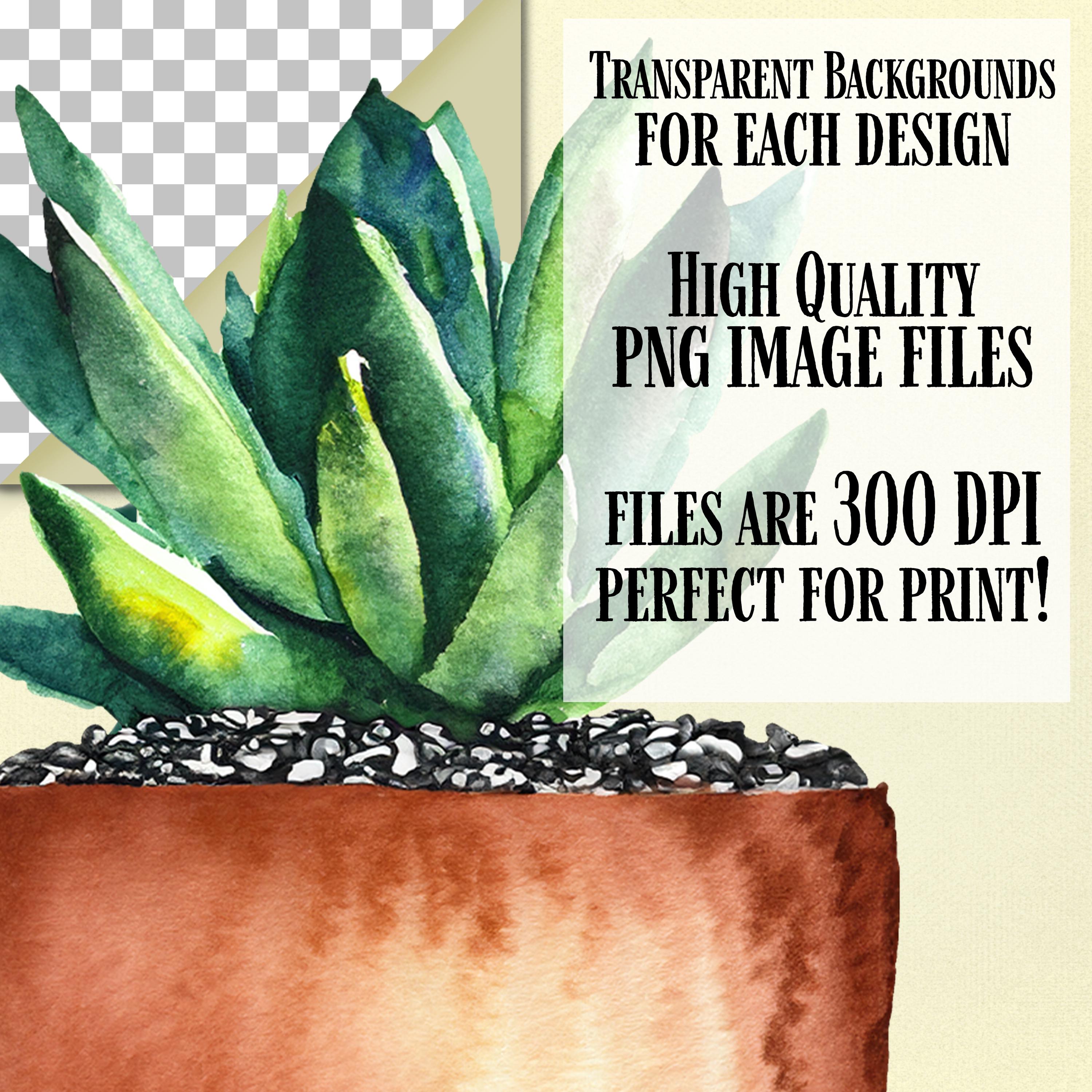 Watercolor Succulent & Cactus Clip Art Pack | House Plant Illustration ...