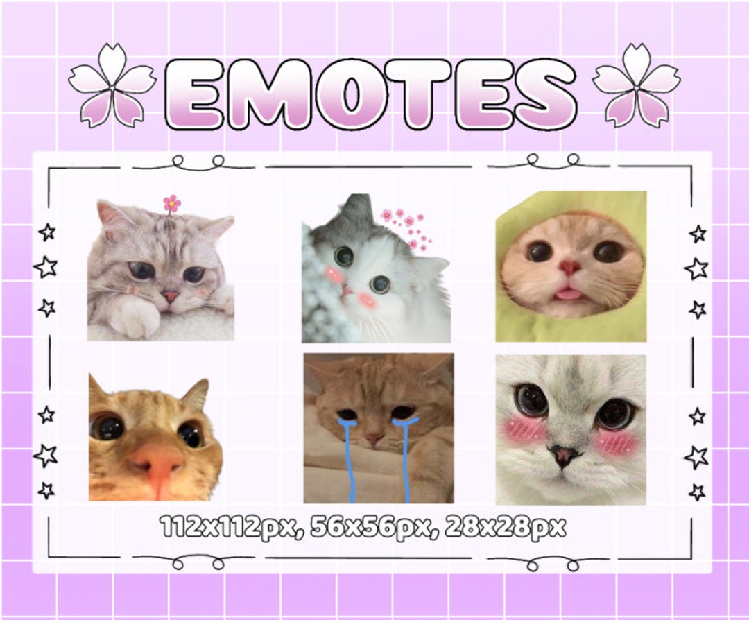 Cat Emotes Twitch and Discord Emotes Kawaii Cat Emotes - Etsy Canada