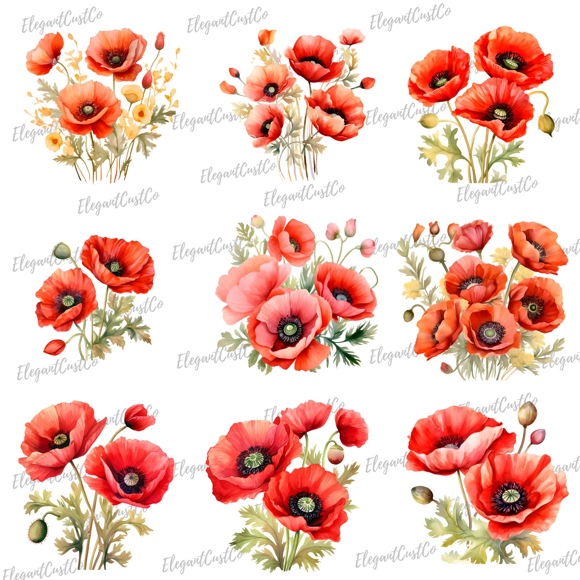 Watercolor Spring Red Flowers Clipart Bundle Svg Various Red - Etsy