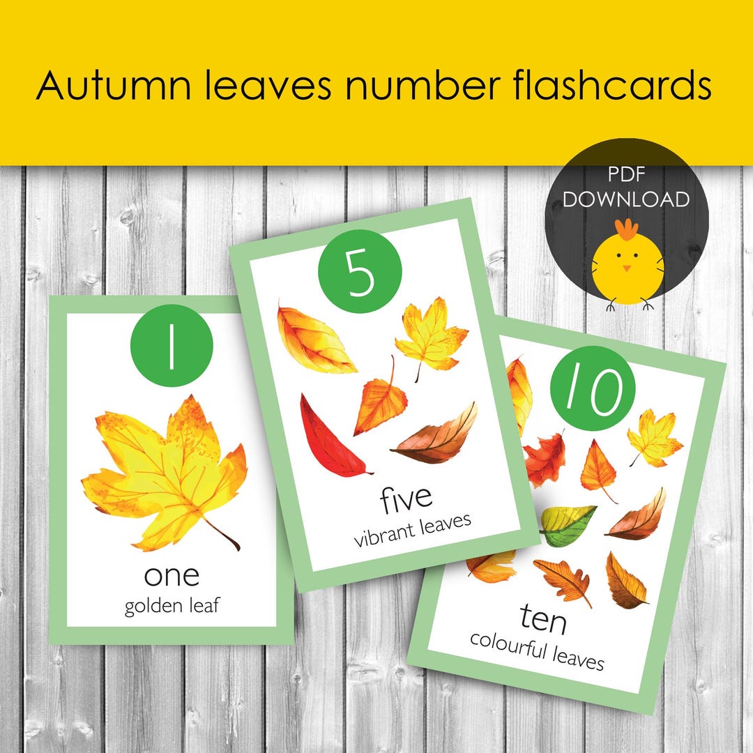 Autumn Leaves Number Flashcards 1-10 for Preschool Number Recognition ...